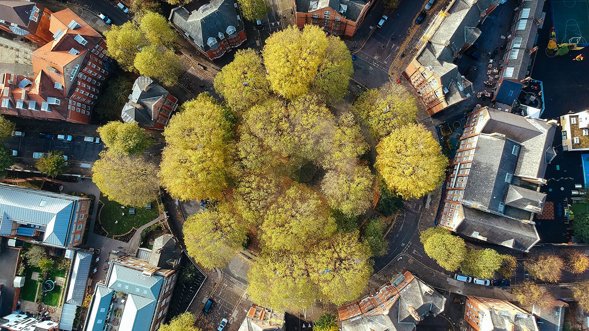 How to use drone photography for virtual home tours - Tour Wizard